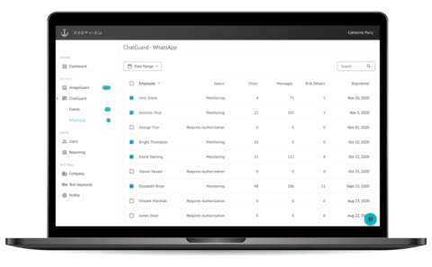 DeepView | Information Technology Company Online